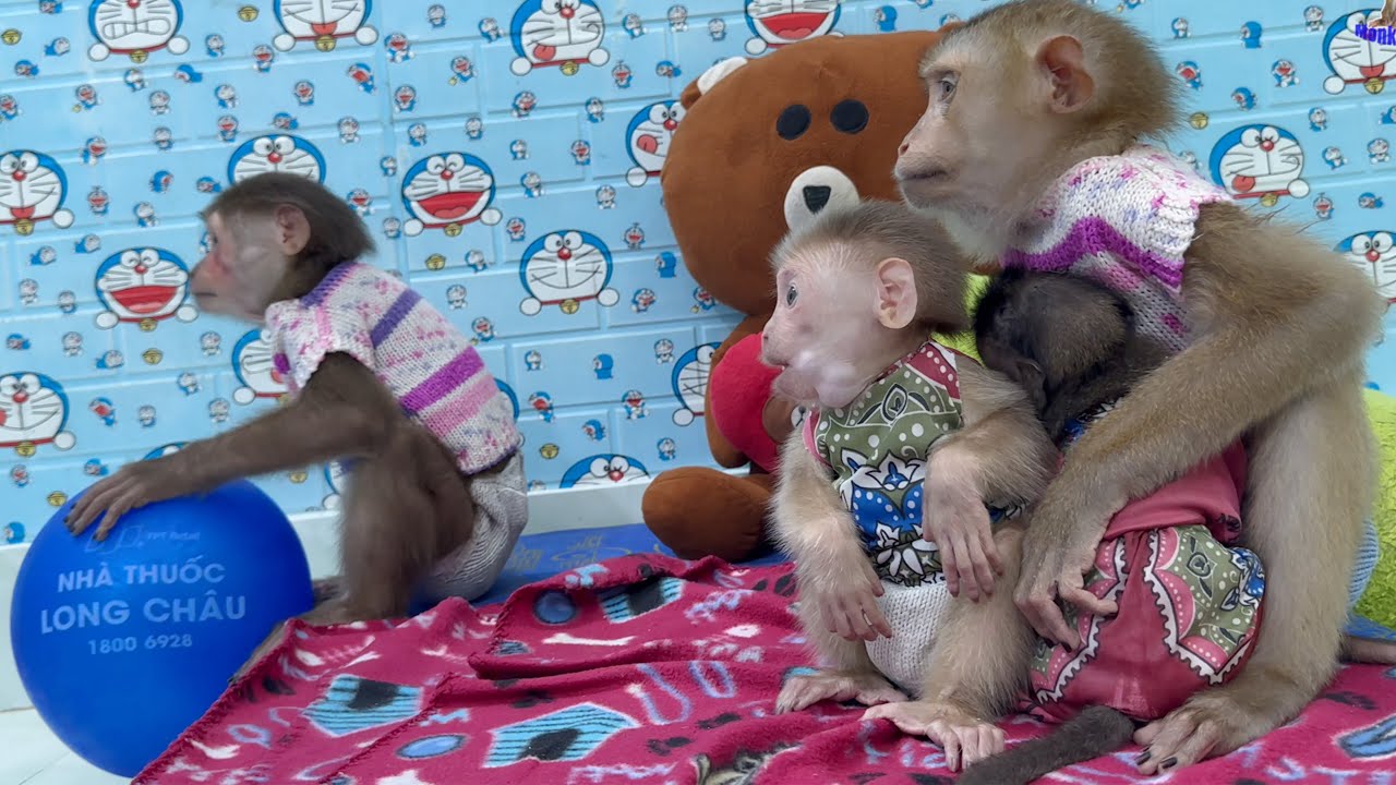 Monkey baby so cute happy next to monkey Sam - YouTube