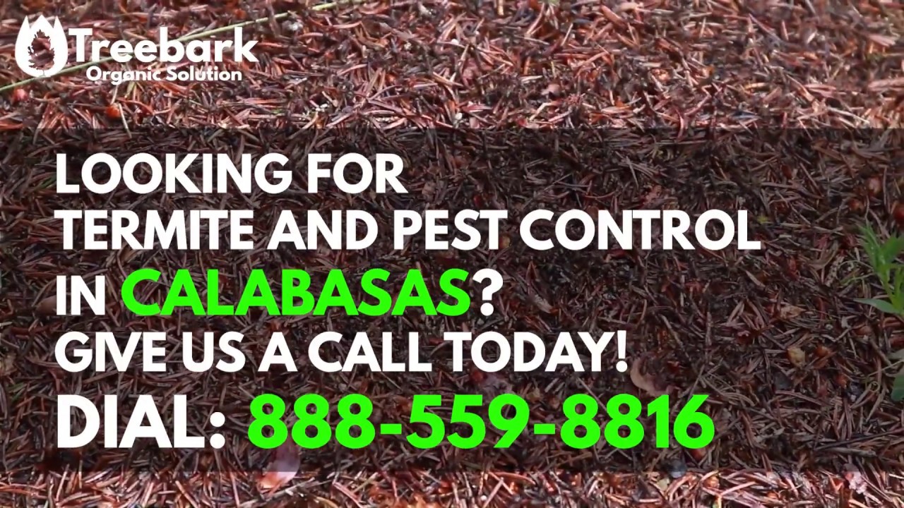 Calabasas Termite Control and Pest Control Company - YouTube
