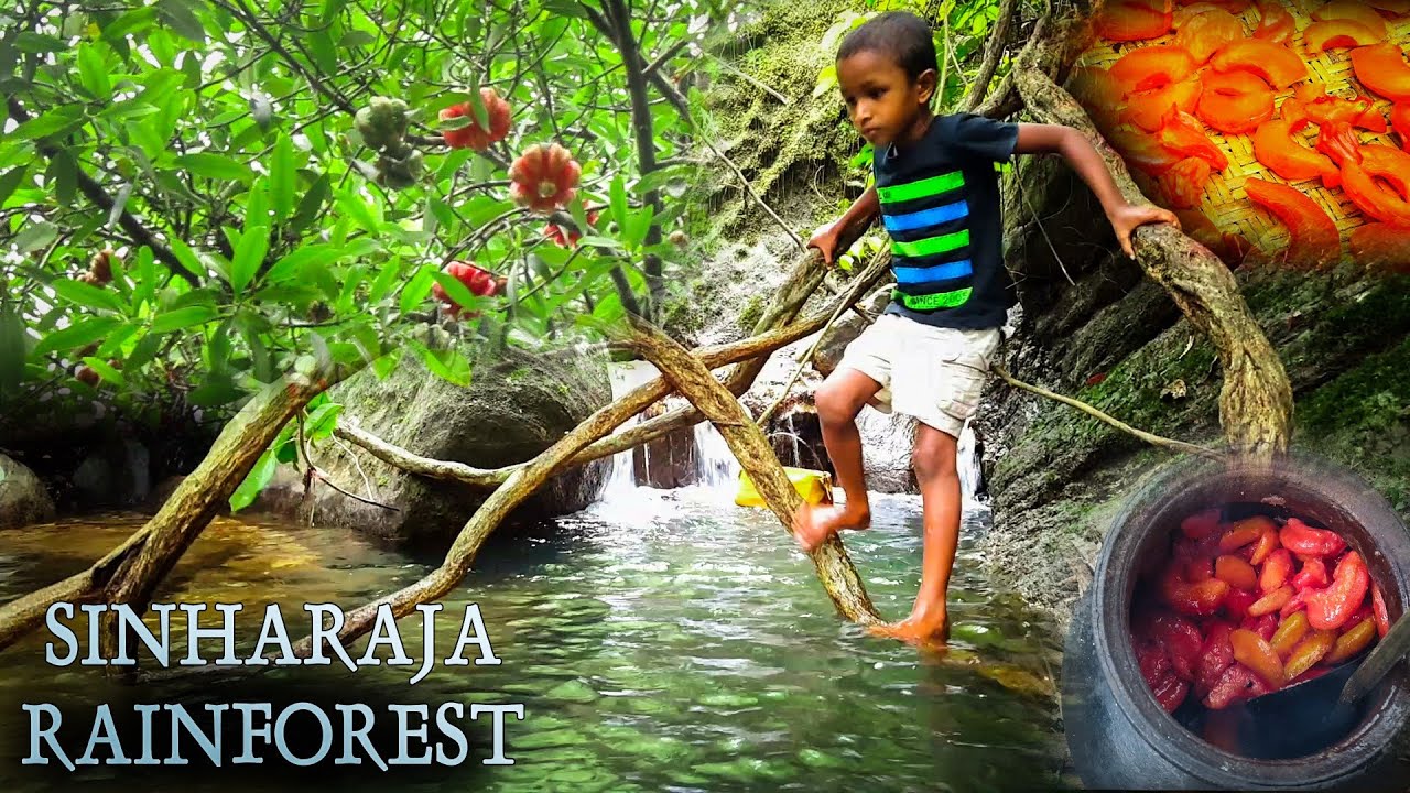 Chanu Making Garcinia Creamගොරකා ක්‍රීම්|village kids cooking|little ...