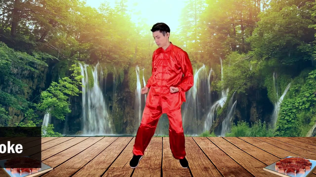 #Tai Chi For Beginners Video _ Free Lesson And Water Qi Gong ...