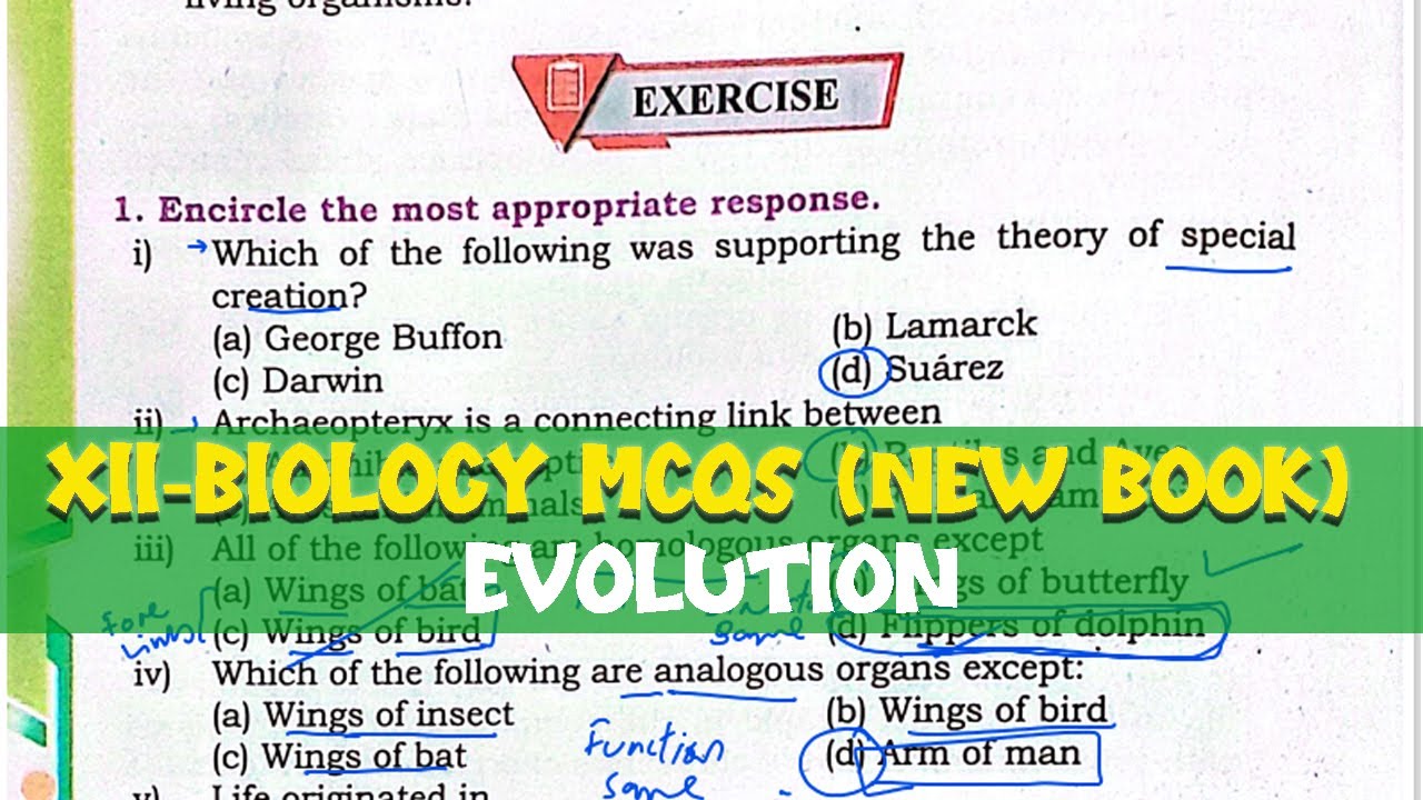 XII-BIOLOGY STB NEW BOOK || Chapter 24 Evolution (MCQs discussion) - YouTube