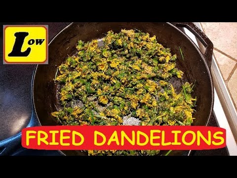 Survival food FRIED DANDELIONS, Cast iron cooking - YouTube