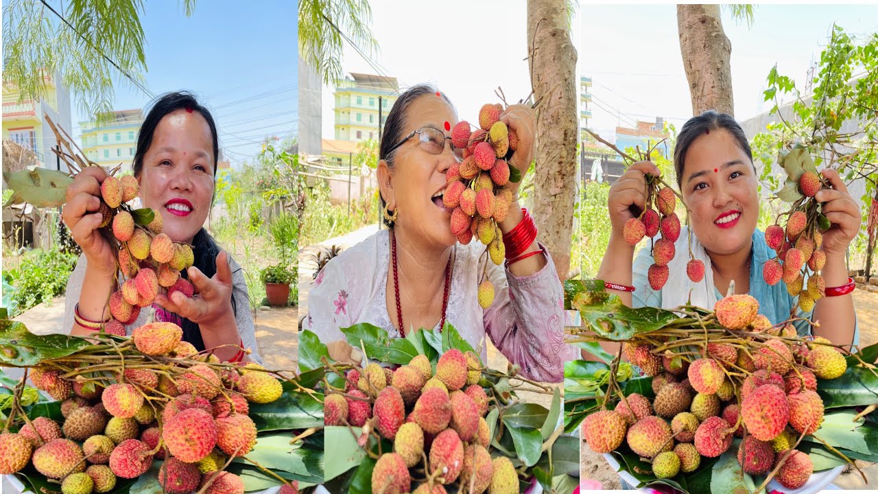 JUICY LITCHI FRUIT EATING COMPETITION | Sweet Litchi Fruit | - YouTube