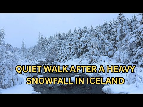 DAY AFTER SNOW STORM in Iceland, Reykjavik (4K HD) 2025.10.29