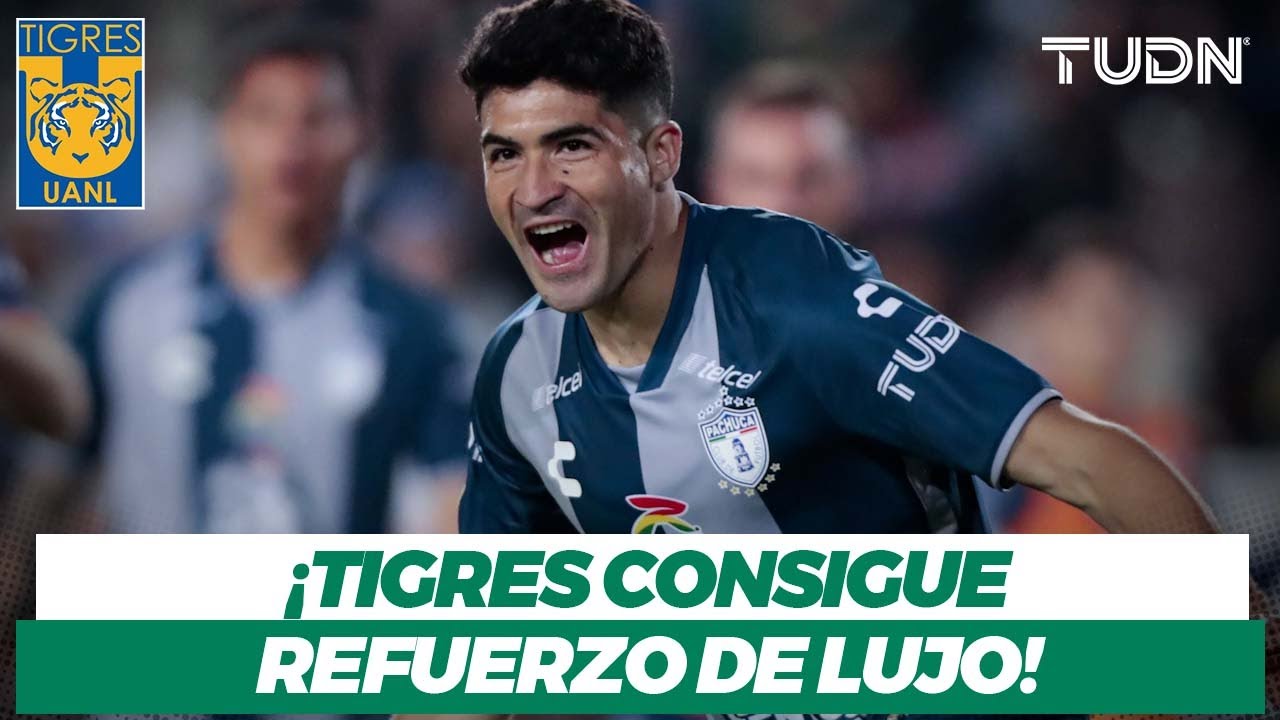 ¡LA BOMBA DEL MERCADO! 💣 Nico Ibáñez será nuevo jugador de los Tigres I ...