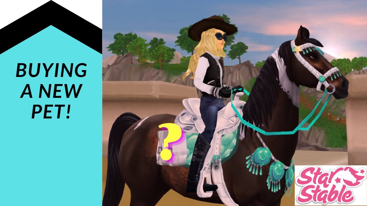 SSO: Buying a new pet! - YouTube