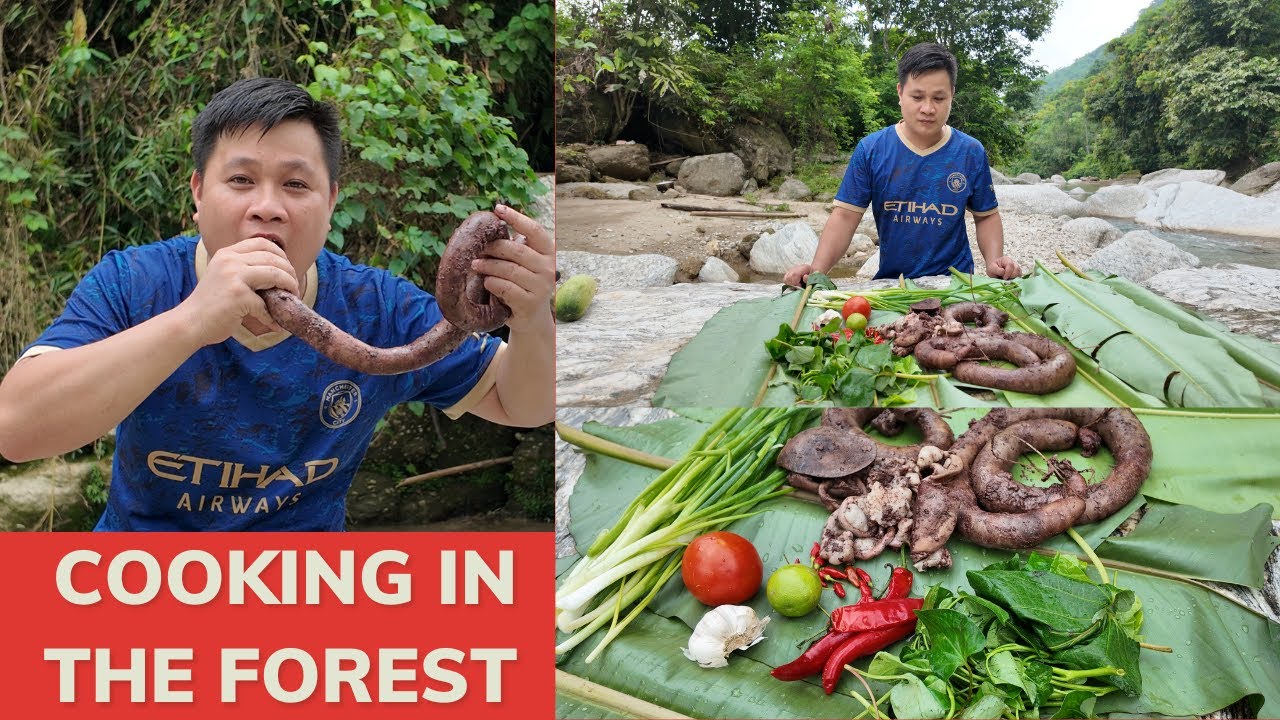Explore the Deep Forest: Cook and Survive with the Most Delicious Food ...