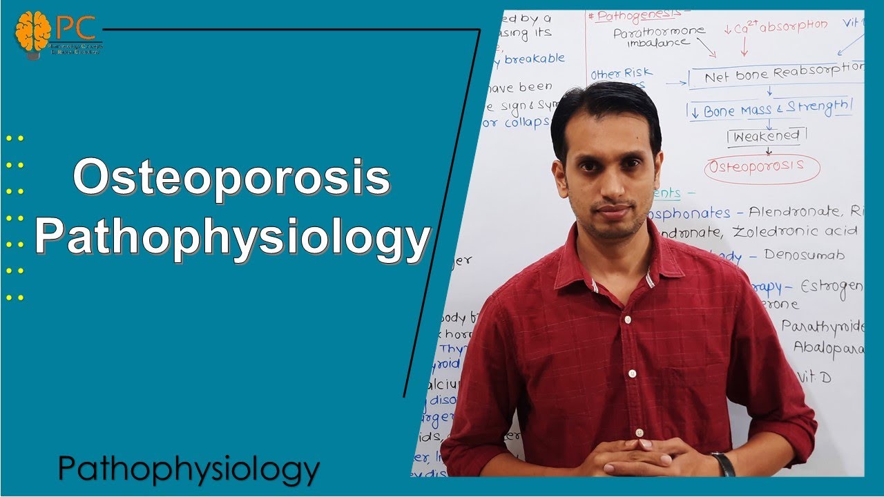 Osteoporosis Pathophysiology | Bone Disorder - YouTube