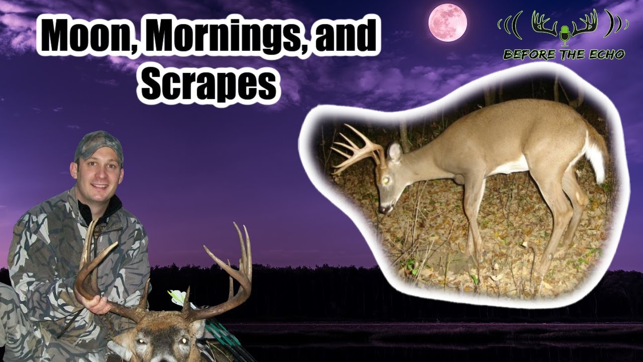 Moon, Mornings, and Scrapes for Big Buck with Josh Beaman - YouTube