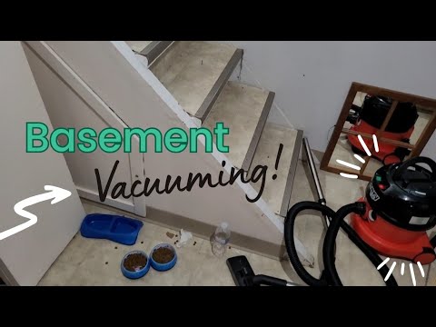 Basement Clean With Me (Storage/Toy Room/Laundry Room) Tidy, Vacuum ...