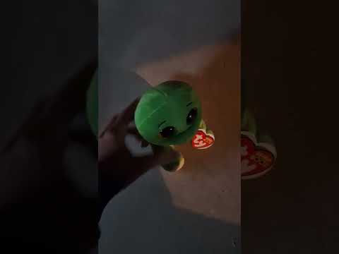 Turbo Turtle defends the Alamo - YouTube