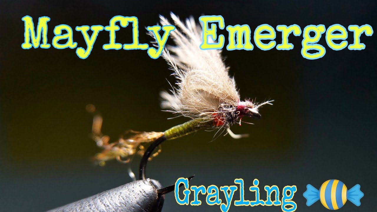 Mayfly Emerger-Grayling Candy - YouTube