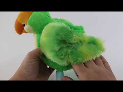 Webkinz Parakeet - Review Nebula - YouTube