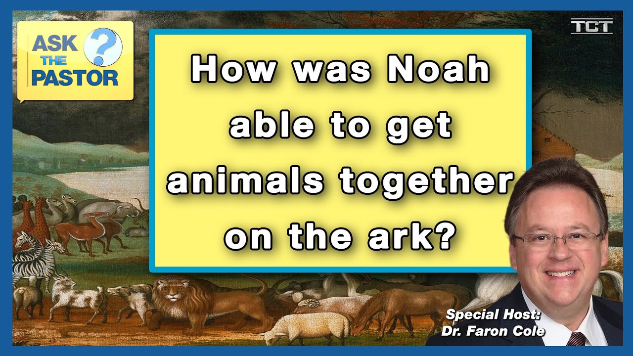 How was Noah able to get animals together on the ark? - YouTube