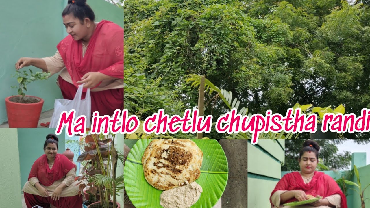 || MA INTLO CHETLU CHUPISTHA RANDI || CHERRY SATHAKSHI 2 || - YouTube