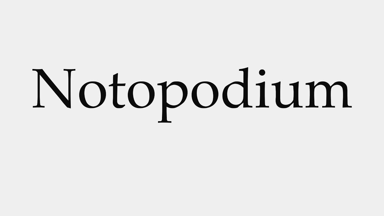 How to Pronounce Notopodium - YouTube