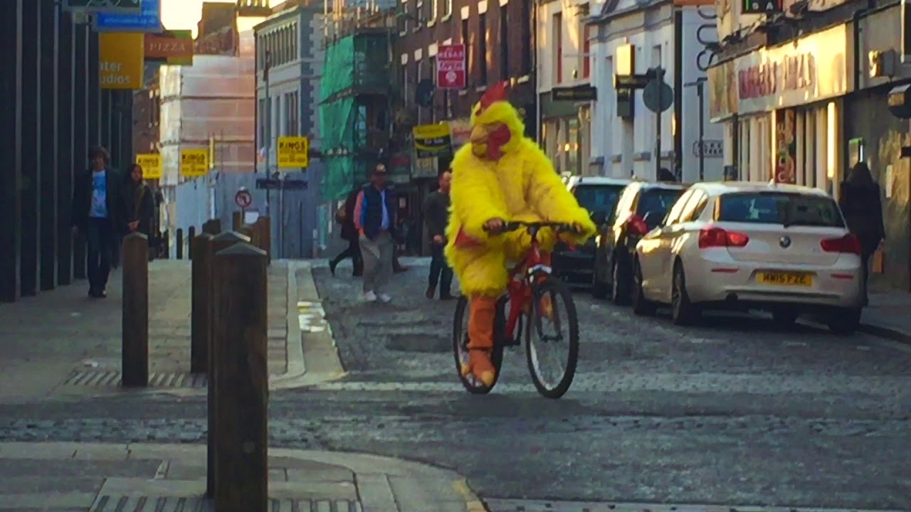 Chicken on a Bike - YouTube