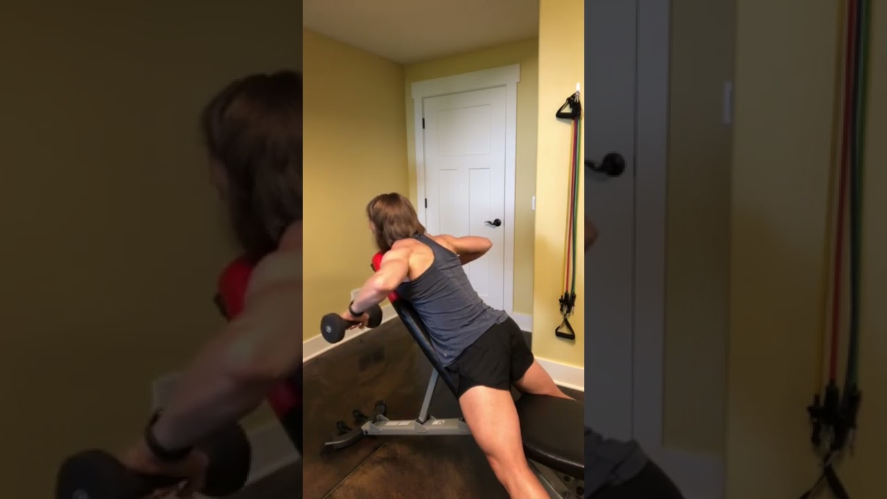 Back, biceps, rear deltoid dumbbell and tube workout - YouTube