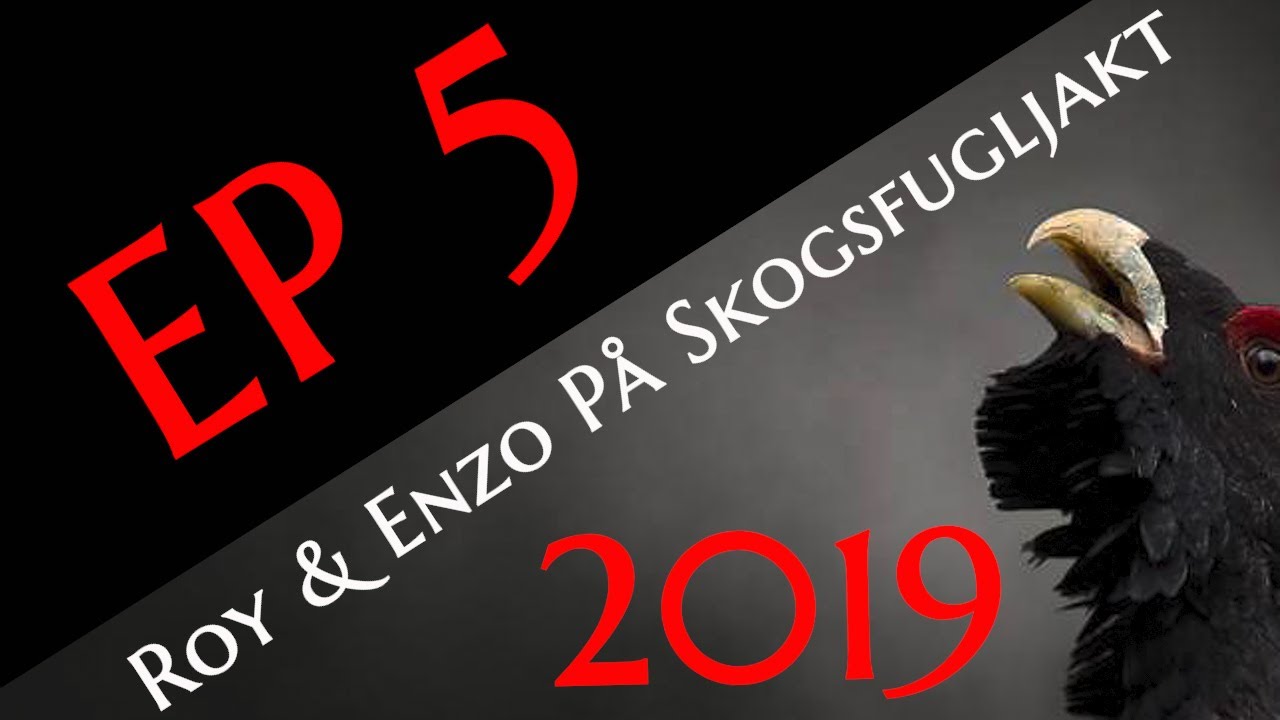 ROY & ENZO PÅ SKOGSFUGLJAKT / SKOGSFÅGELJAKT 2019 [EP.05 / SESONG 2 ...