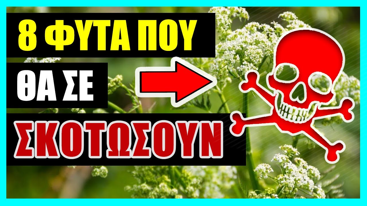 ΤΑ ΦΥΤΑ ΠΟΥ ΜΠΟΡΟΥΝ ΝΑ ΣΕ ΣΚΟΤΩΣΟΥΝ | ΤΑ ΠΙΟ ΘΑΝΑΤΗΦΟΡΑ ΦΥΤΑ - YouTube