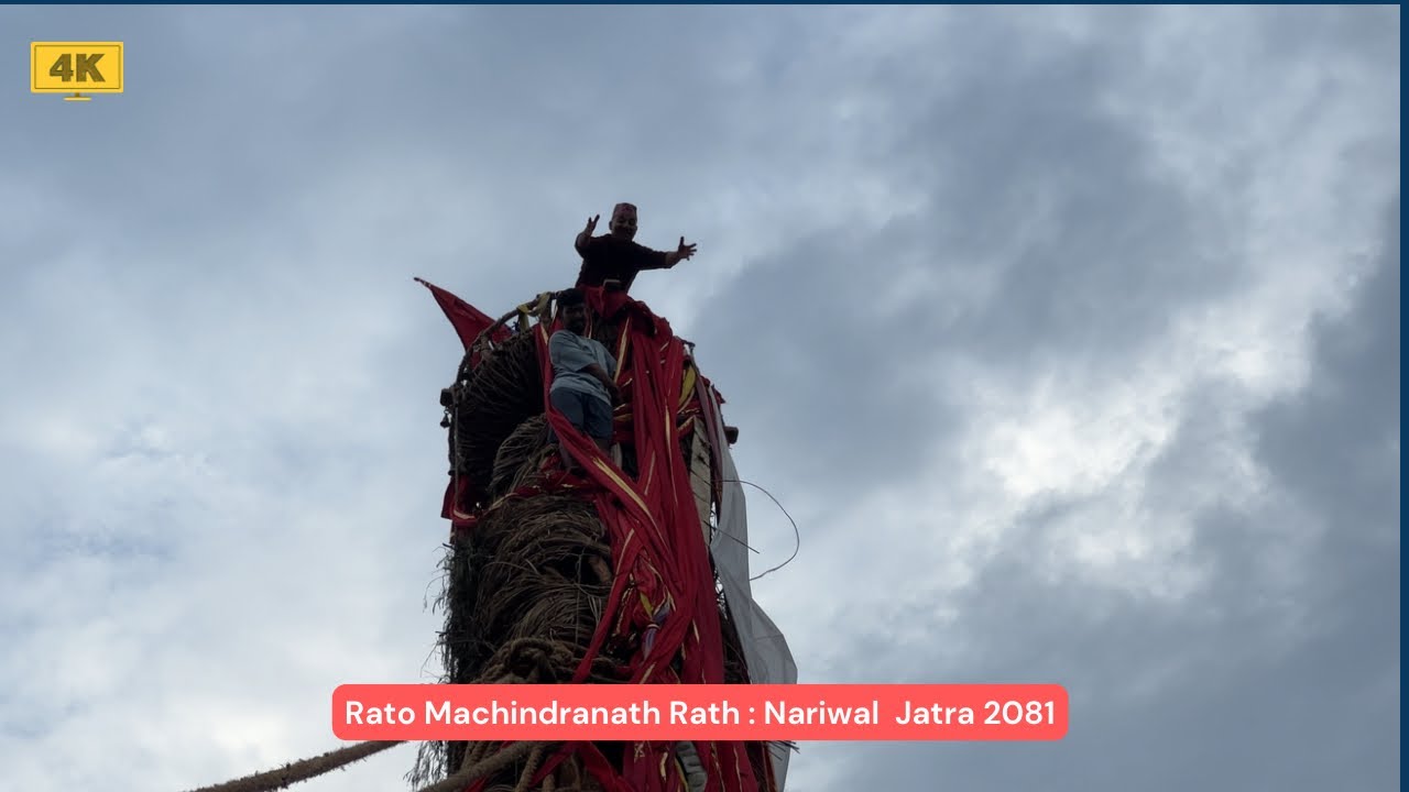 Rato Machindranath 2081 Rath | Nariwal khasalni Jatra | Naikya Lugu ...