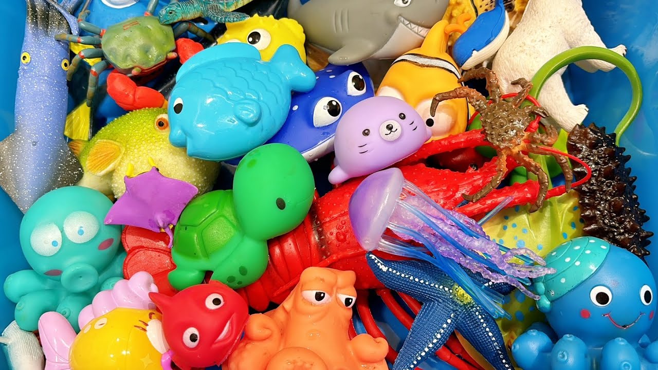 Learn Sea Animal Names and Facts I Sea Animals For Kids I Ocean ...