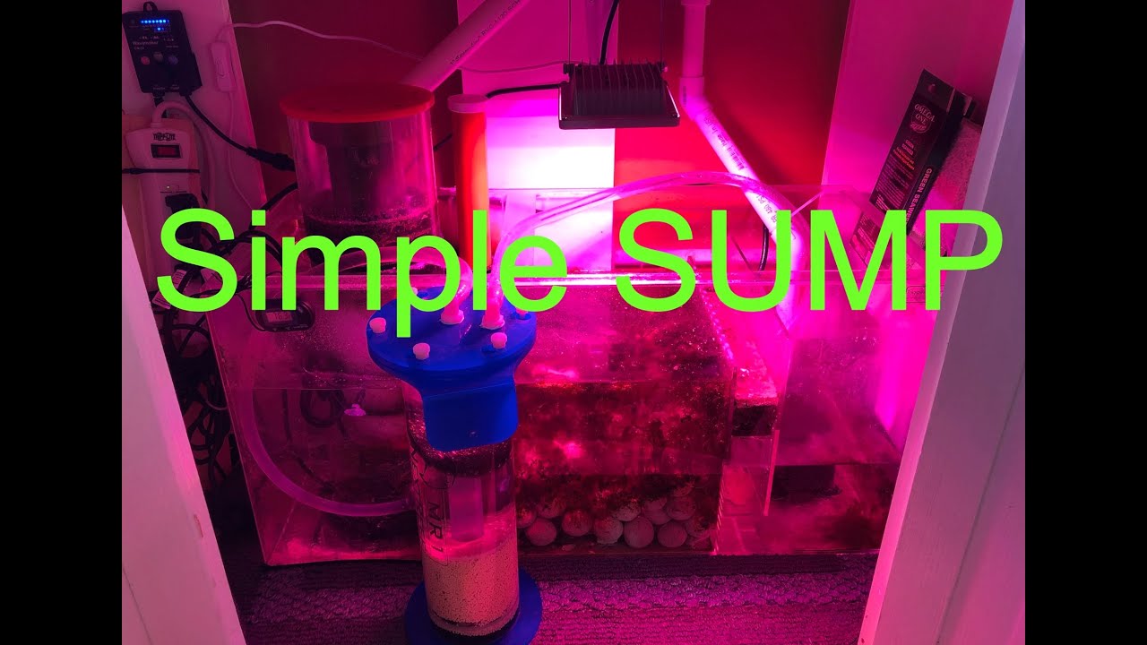Simple Sump design for Reef Tank - YouTube