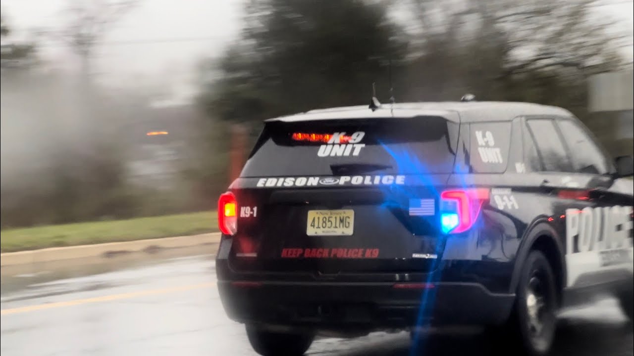 Edison PD FPIU K-9 On Scene of an MVA - YouTube