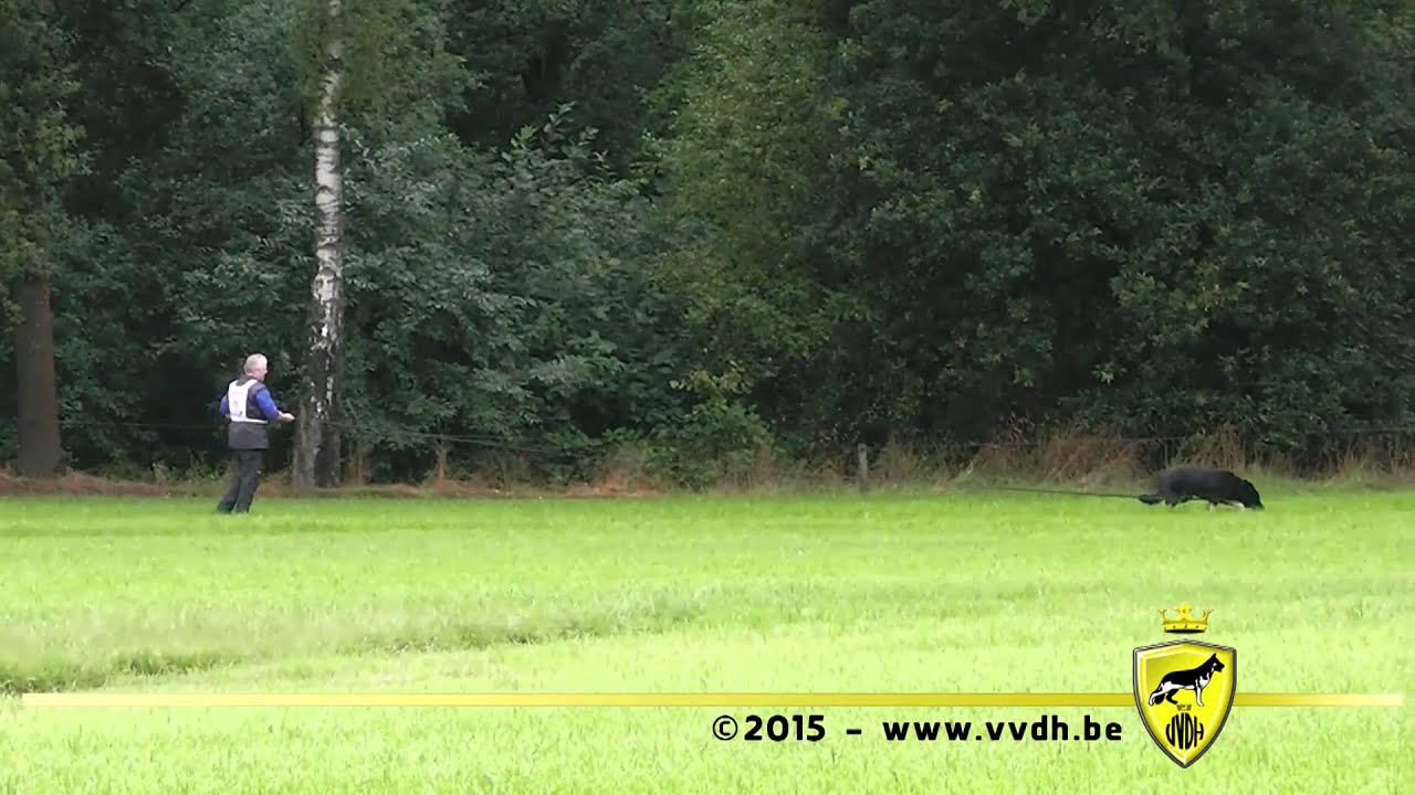Michel Roofthooft Belgisch Kampioenschap 2015 - Speuren - YouTube