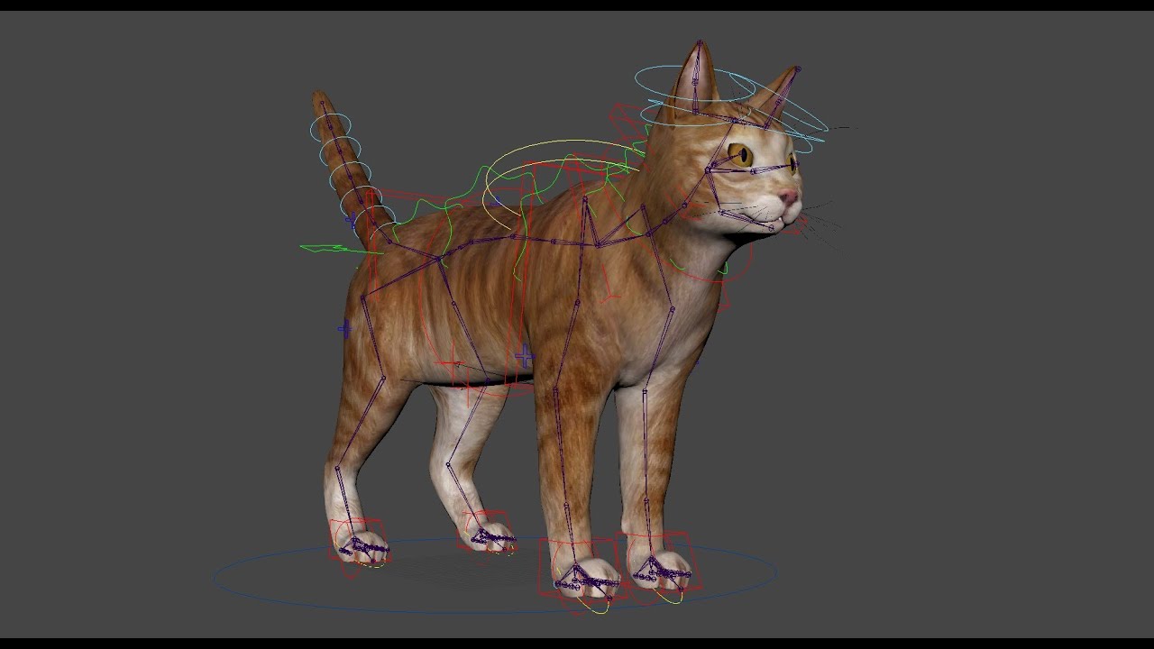 Advanced Skeleton Cat Rig Test - YouTube