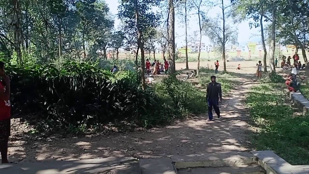 Surkhet bulbule - YouTube