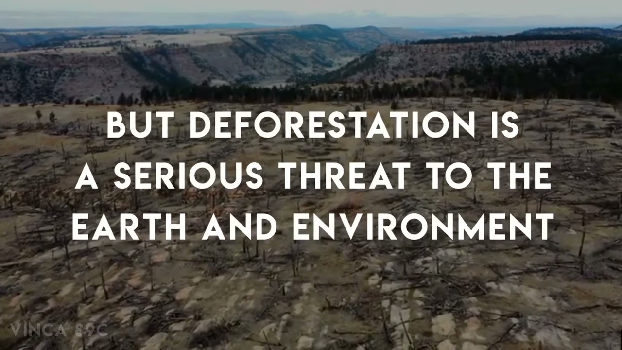 Our Forests | Deforestation Awareness Video - YouTube