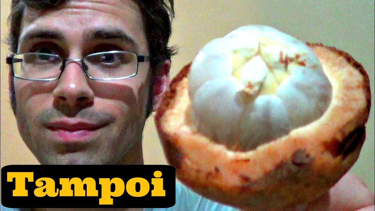 Tampoi (Baccaurea macrocarpa) - Weird Fruit Explorer Ep. 148 - YouTube