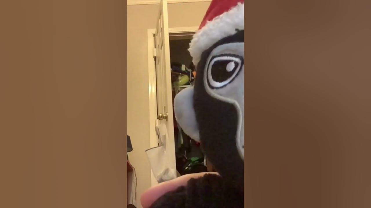 Gorilla Clapping Some Cheeks ๐๐๐ Youtube