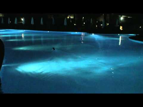 Evening. Pool