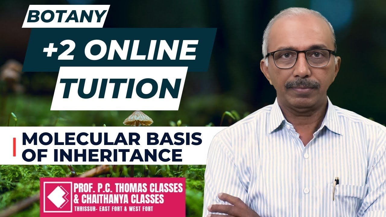 +2 ONLINE REGULAR TUITION | BOTANY Molecular Basis of Inheritance SESSION-6 - YouTube
