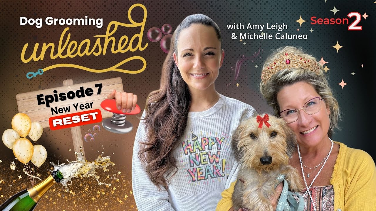 Setting New Standards: A Dog Groomer’s Reset Guide - YouTube
