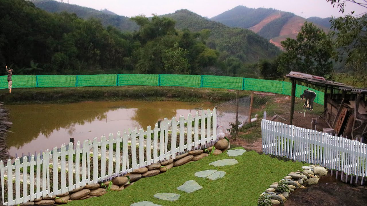 Clear weeds, fence around the pond to protect ducks and farms -BUILD ...