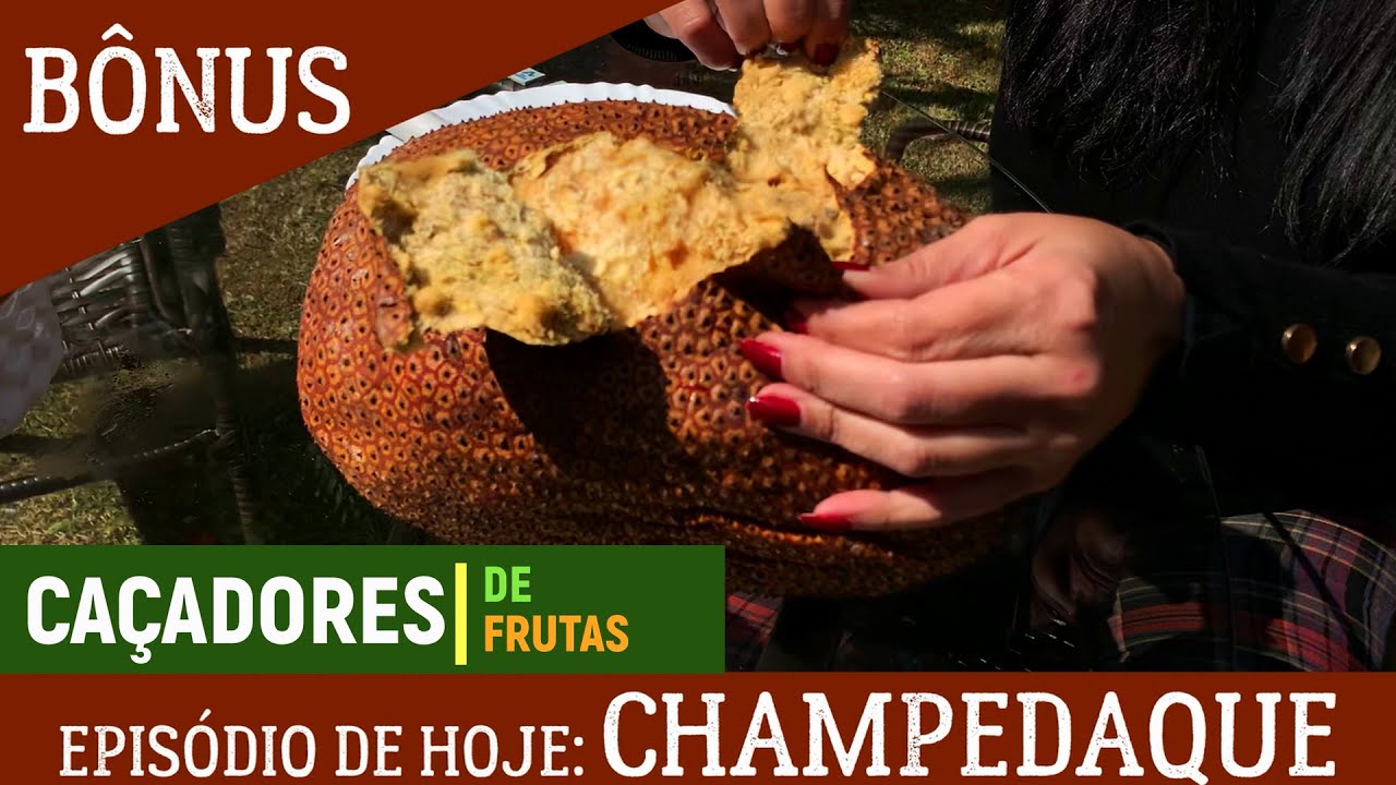 Champedaque é jaca? Como plantar a Jaca Anã? - YouTube