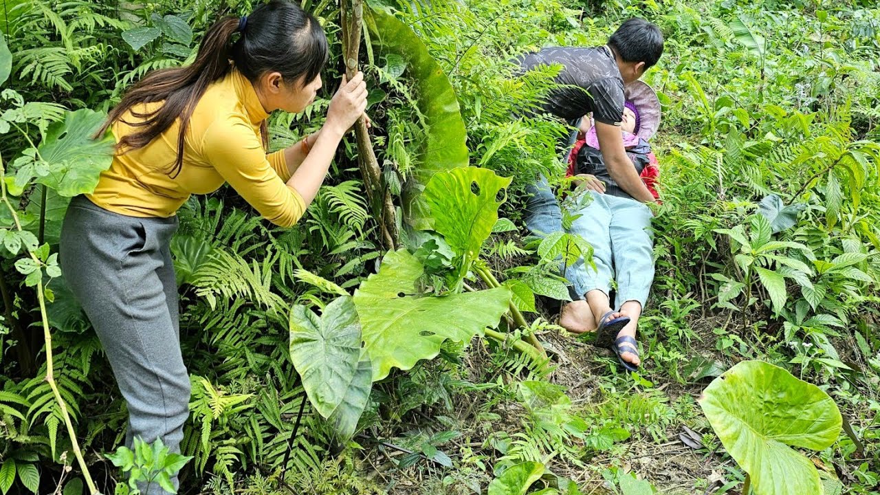 went into the wild forest, got wood, and the guy, stalked the girl ...