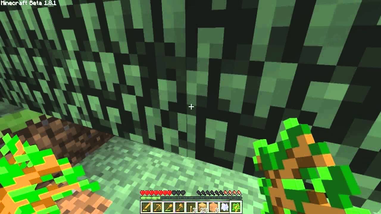 Minecraft - Episode 20 - ANIMAL PARTY - YouTube