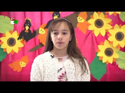 Kalamáris - Tóth Katona Emese - YouTube