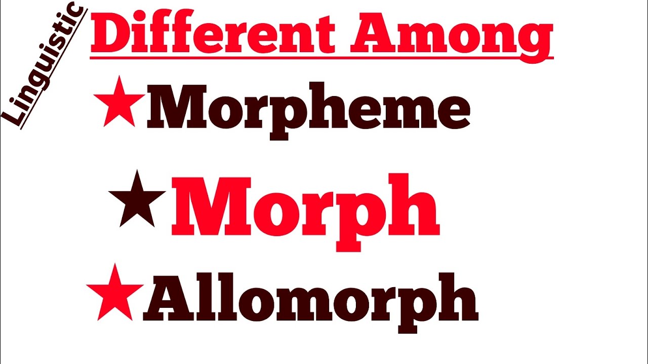 Morpheme|Morph|Allomorph|Different of morpheme morph allomorph|Morpheme ...