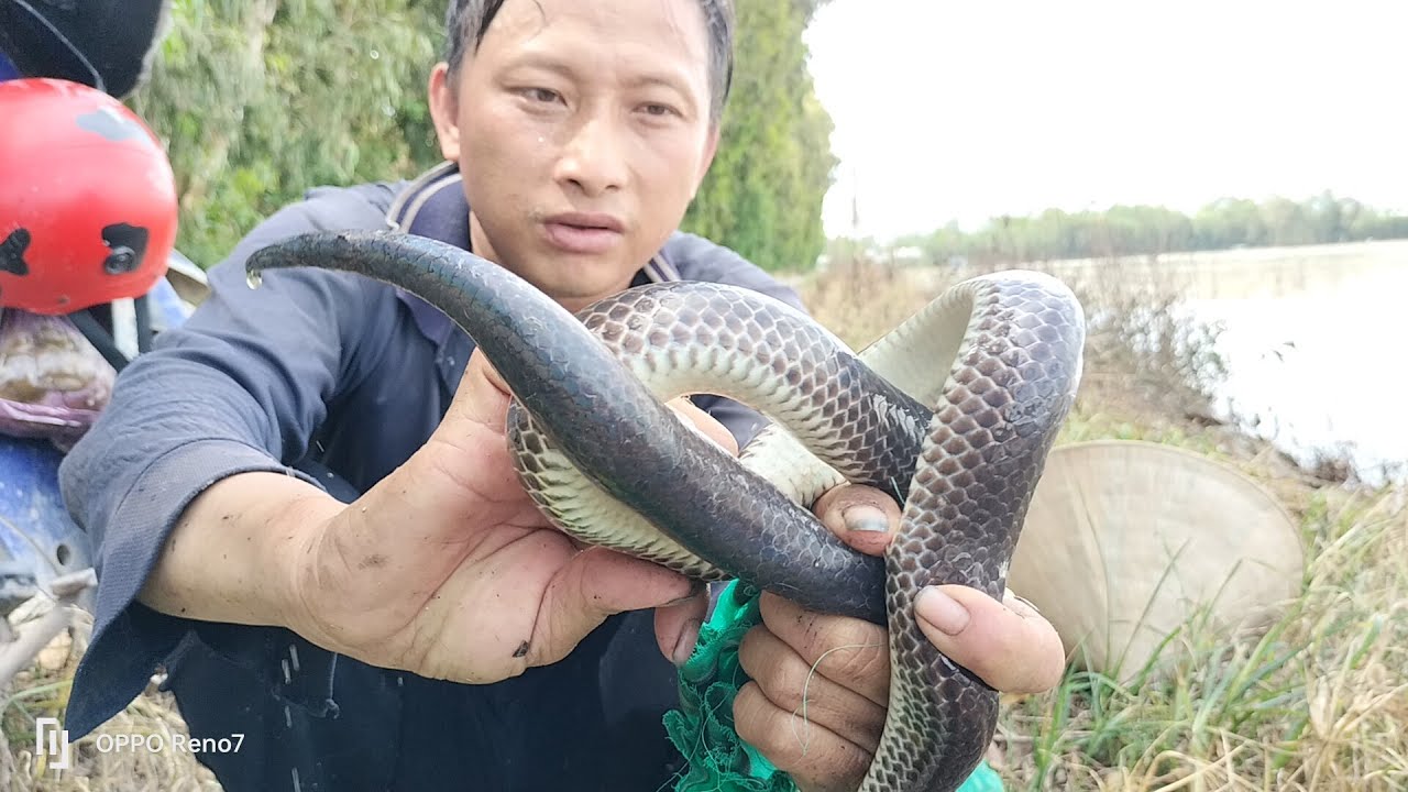 140.Chuyen Tham Bay Rắn Nhoa Nhất Lịch Sử Bay Rắn Của Vợ Chồng Út || AE ...