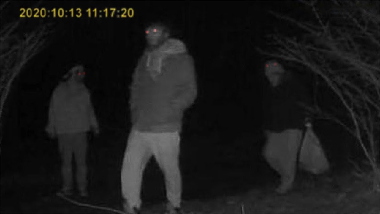5 TERRIFYING Forest Encouters Caught On Camera - YouTube