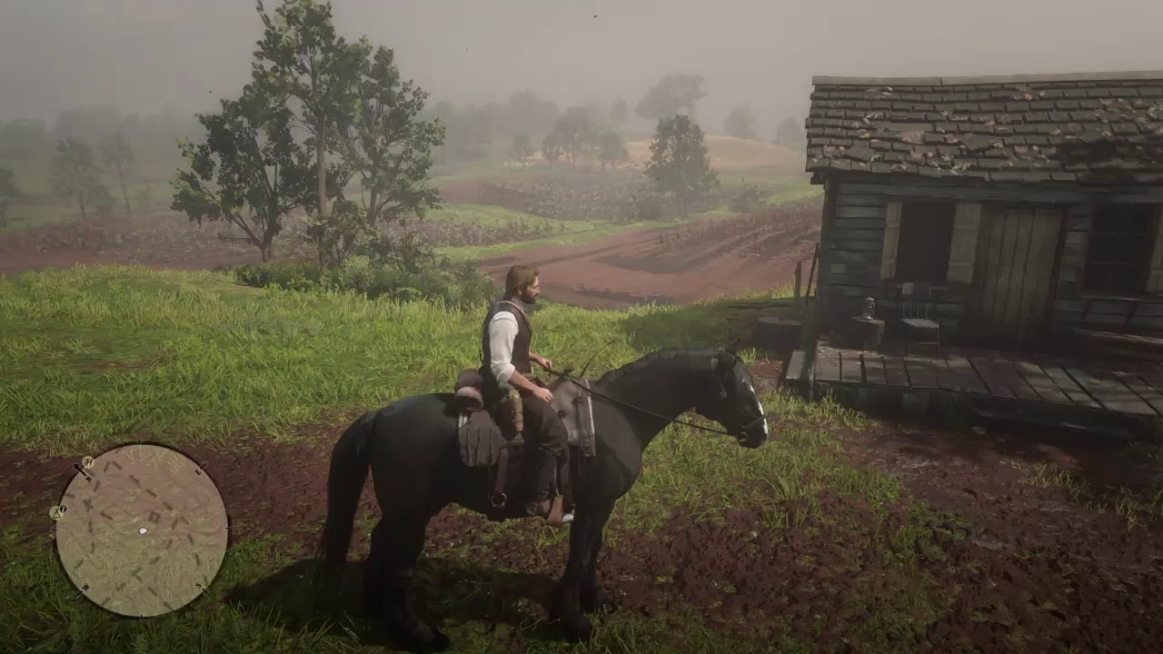 Red Dead Redemption 2 - Animal Compendium Sweep-up #1 - YouTube