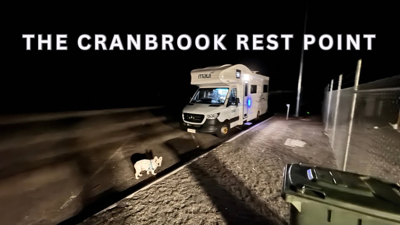 A little friend at resting point - YouTube