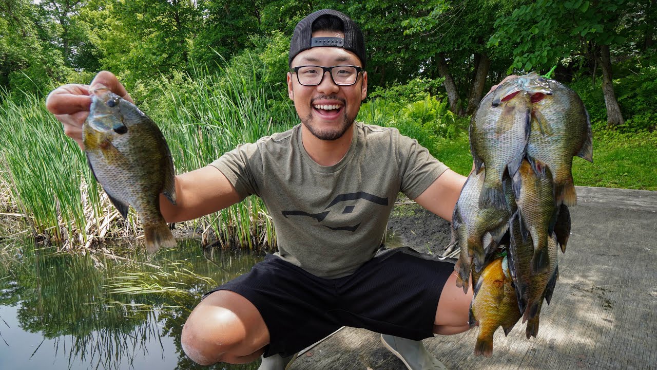 Fishing for GIANT Bluegills! (CATCH CLEAN COOK) - YouTube
