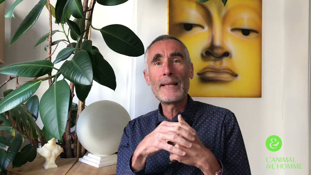 Interview 5 de Nicolas Mathevon : "Jouer de la voix pour parvenir à ses ...