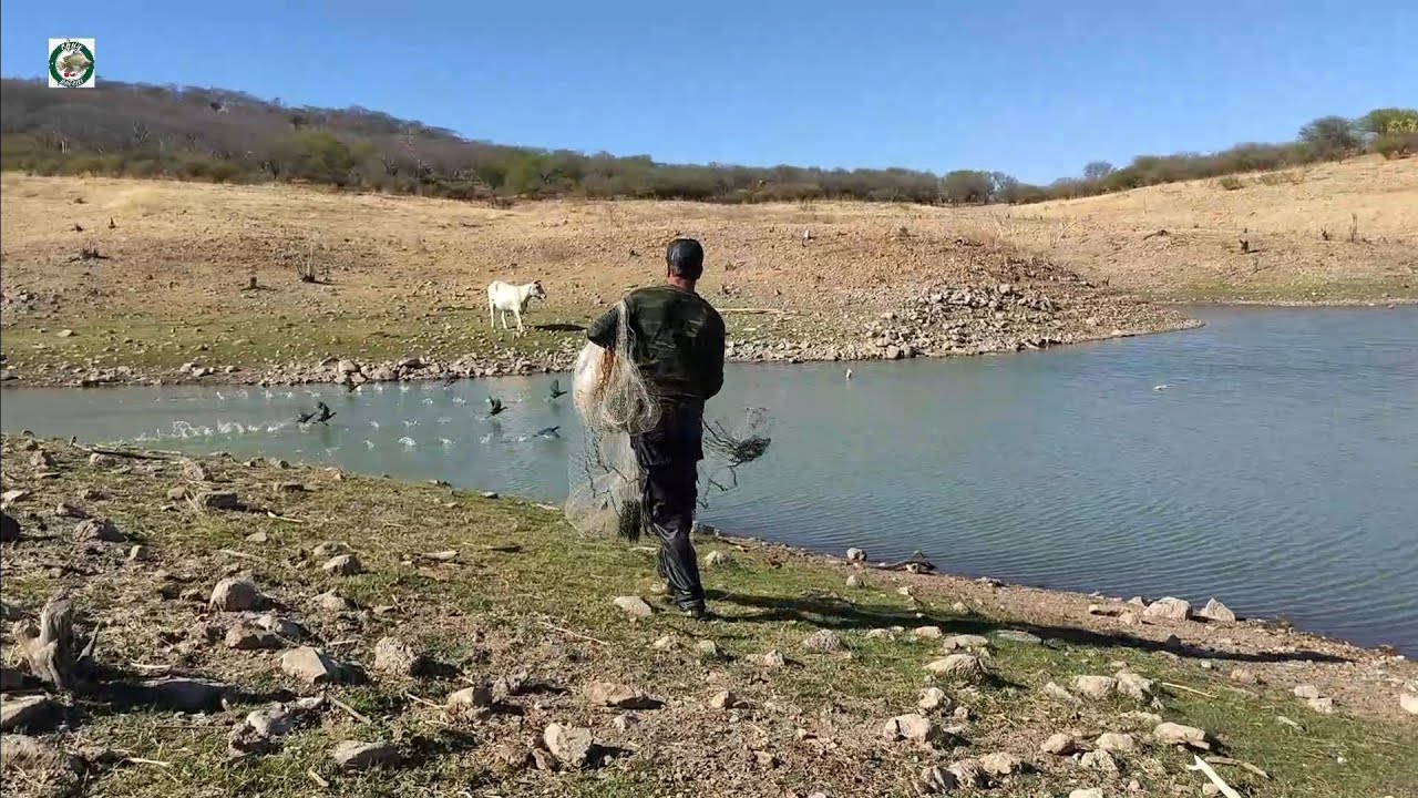 puras fileteras con mucho aire en la laguna - YouTube